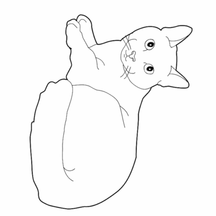 Dibujos GATOS para colorear - 54 dibujos de animales para colorear y ...
